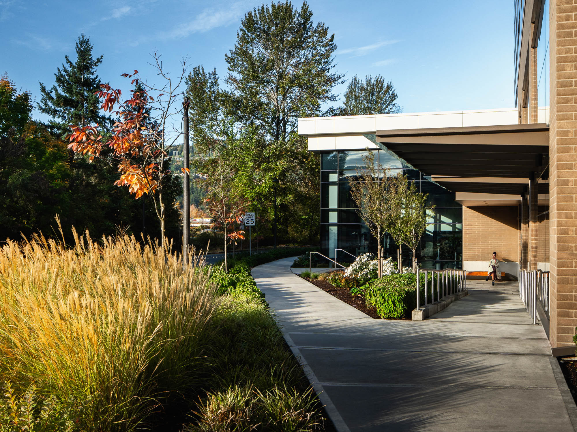 Costco Corporate Campus - Issaquah HQ - Fora Landscape Architects