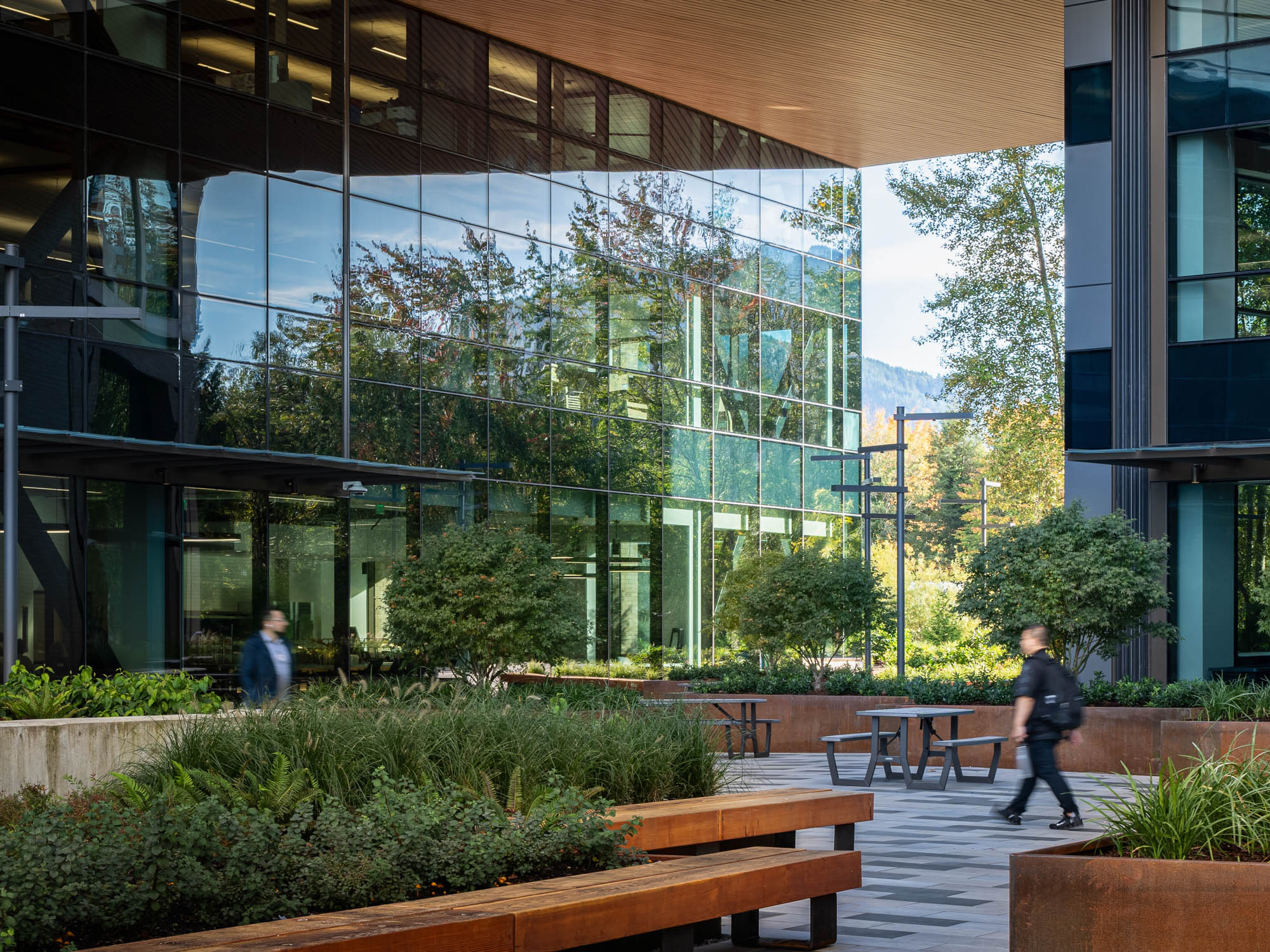 Costco Corporate Campus - Issaquah HQ - Fora Landscape Architects
